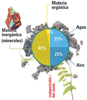 EQUIPO 5: **El Suelo y su importancia**